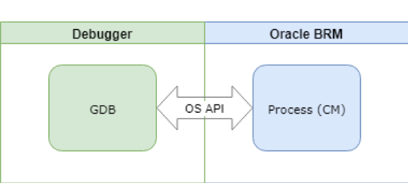 Oracle BRM Policy Opcode Custom Code Debugging via GDB Oracle BRM Policy Opcode Custom Code Debugging via GDB
